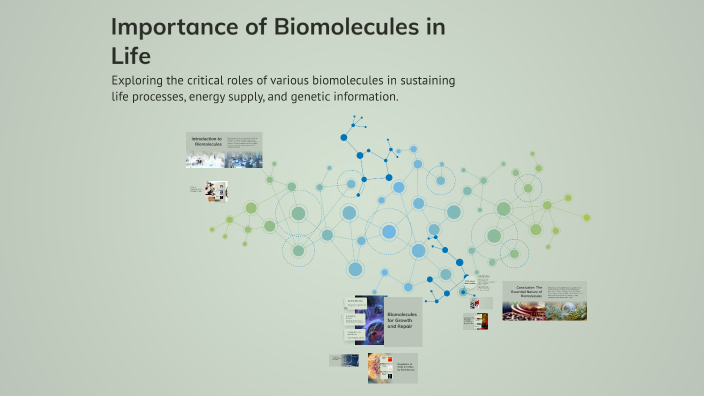 Importance of Biomolecules in Life by Arathi Shenoy on Prezi