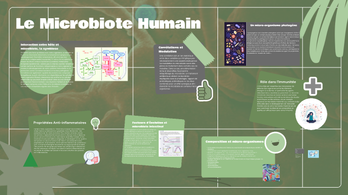 Le Microbiote Humain by ismahene sed on Prezi