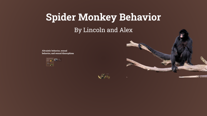 Animal Behavior Project by Alex Scott on Prezi