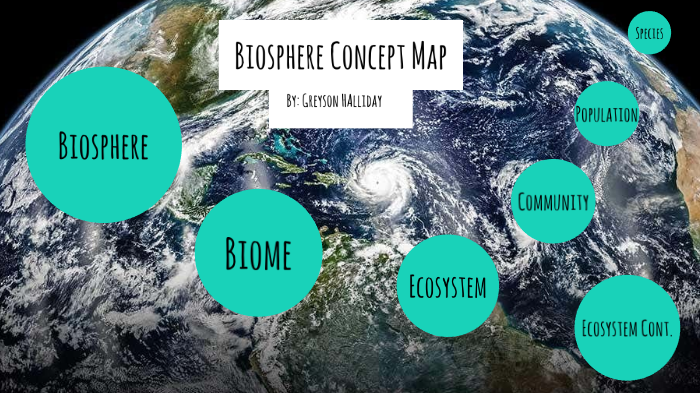 Concept Map Biosphere by Greyson Halliday on Prezi