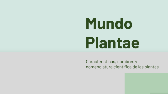 Mundo Plantae by Steven Mejia on Prezi