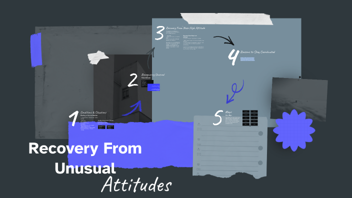 XII.E.Recovery From Unusual Flight Attitudes by Grace Pan on Prezi
