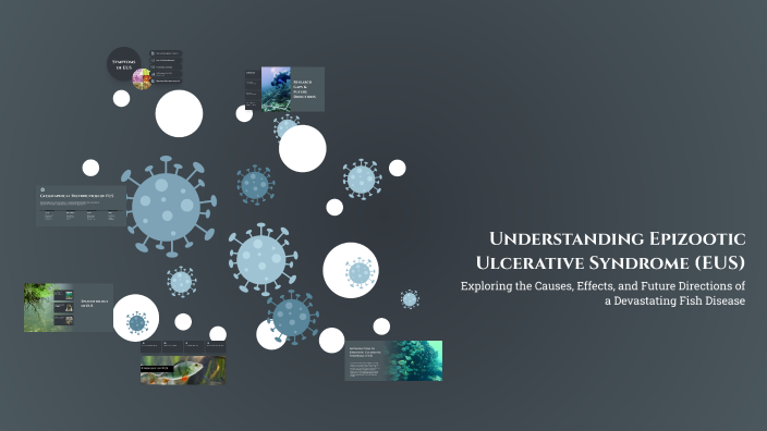 Understanding Epizootic Ulcerative Syndrome (EUS) by sovon22 ahmed on Prezi