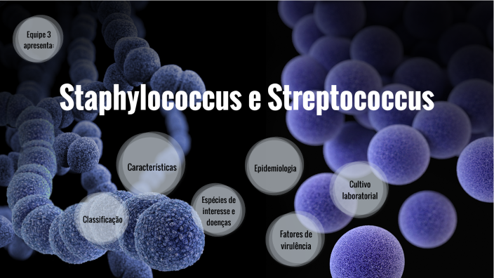 Staphylococcus e Streptococcus by Crísley Viana de Brito on Prezi