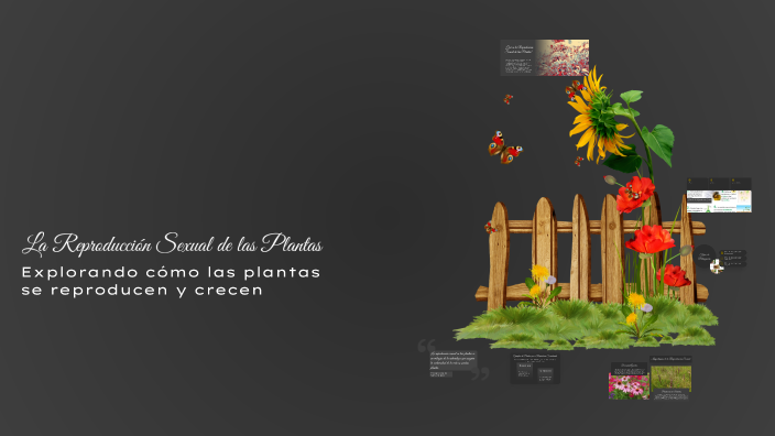 La Reproducción Sexual de las Plantas by CHRISTIAN IVAN ROCHA BOCANEGRA ...