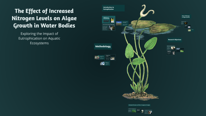The Effect of Increased Nitrogen Levels on Algae Growth in Water Bodies ...