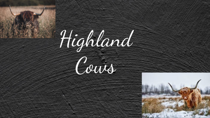 by Taylor Humbert on Prezi