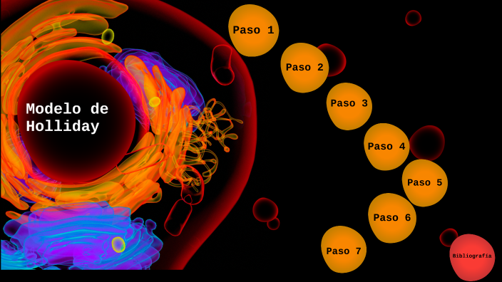 Modelo de Holliday by Mel Mariño on Prezi