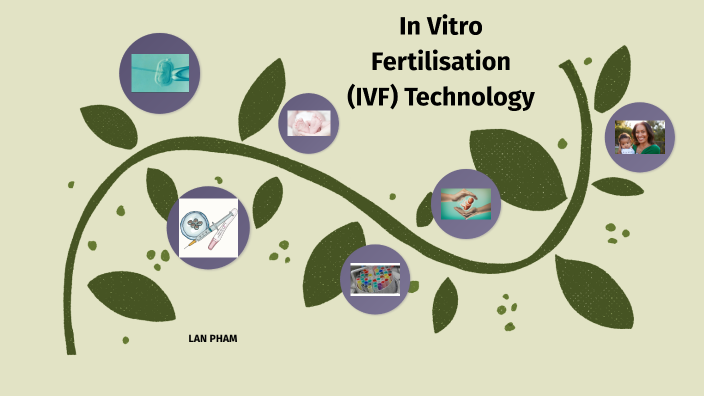 In vitro fertilisation (IVF) Technology by Lan Pham on Prezi