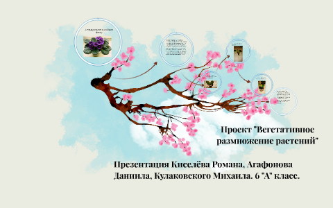 Проект "Вегетативное размножение растений" by Roman Kiselev on Prezi