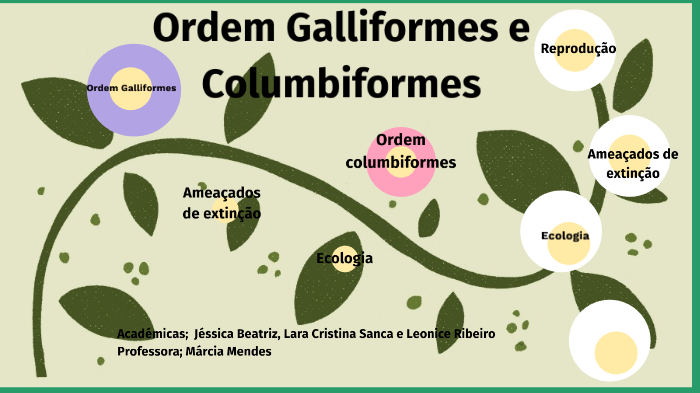 Ordem Galliformes by leonice ribeiro leonice ribeiro on Prezi