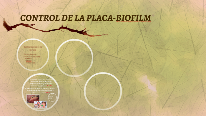 CONTROL DE LA PLACA-BIOFILM by Sharon Florian Magaña on Prezi