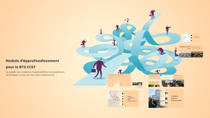 Module d’Approfondissement pour le BTS CCST by on Prezi