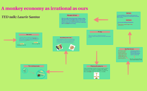 A monkey economy as irrational as ours by michelle areche on Prezi