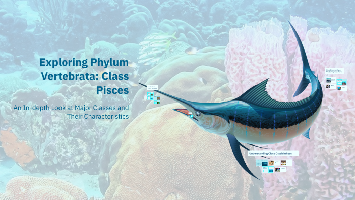 Exploring Phylum Vertebrata: Class Pisces by Seemab Zari on Prezi