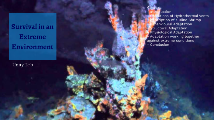 Extreme Environment - Hydrothermal Vents by Unity Teo on Prezi