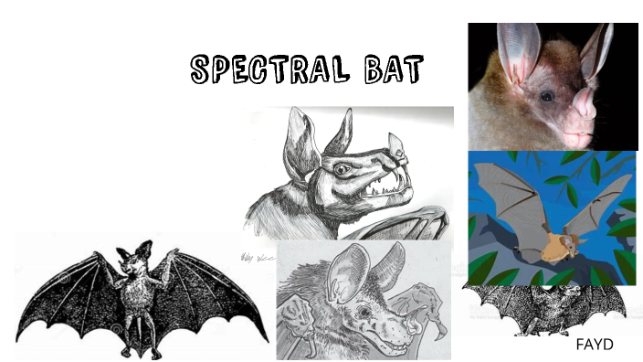 SPECTRAL BAT by Michael Schratter on Prezi