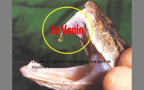 Le Venin : les animaux venimeux by Thomas Da Cruz