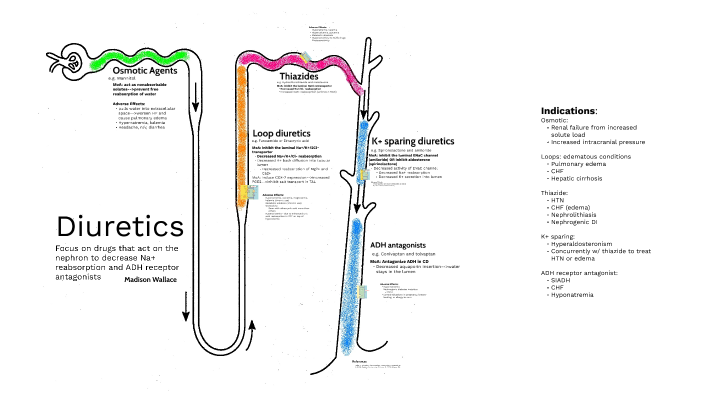 Diuretics Review by Madison W on Prezi