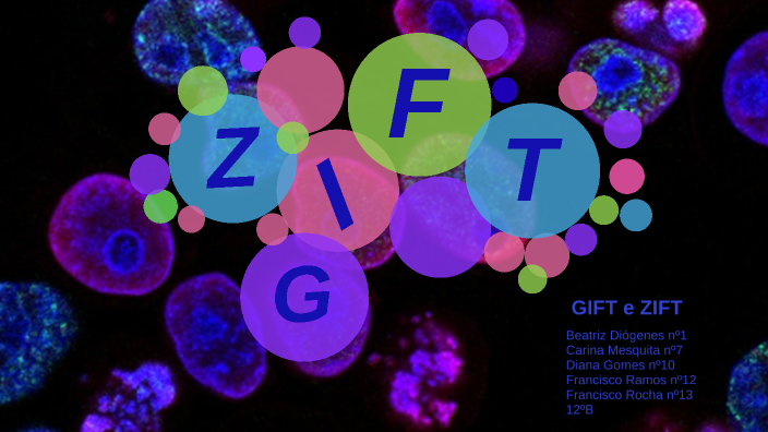 GIFT e ZIFT by Trabalho 12ºano on Prezi