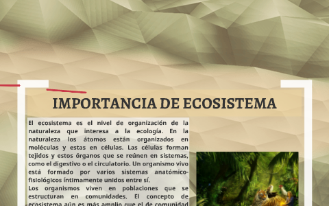 EL BOSQUE by Alondra Sanchez Rangel on Prezi