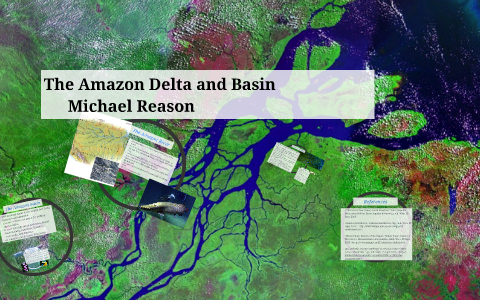 The Amazon Delta and Basin by Michael Reason on Prezi