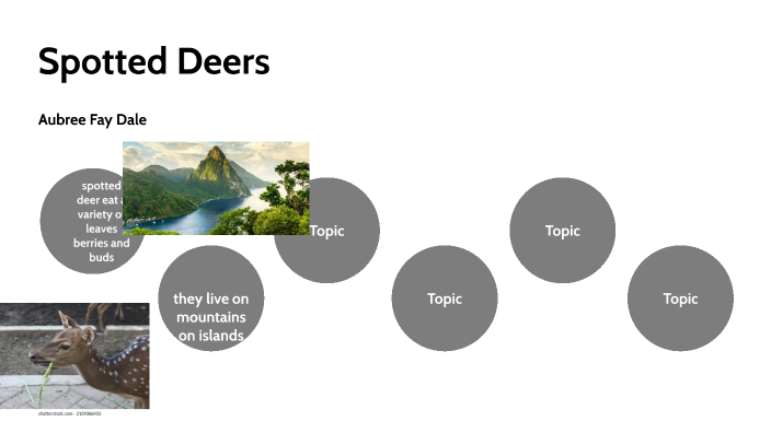 Spotted Deer Animal Research by Aubree Dale on Prezi