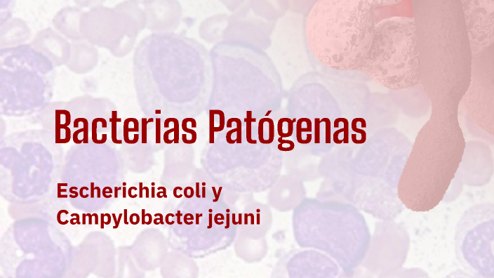 Bacterias Patógenas by David Ortega on Prezi