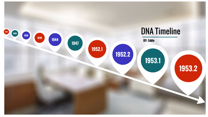 DNA Timeline by Eddie Zhang on Prezi
