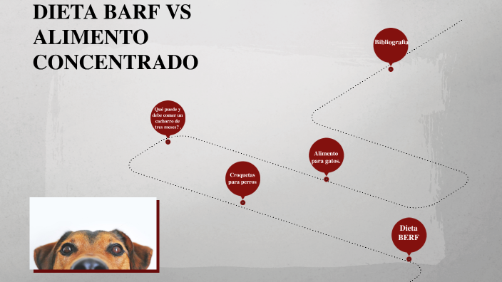 DIETA BARF VS ALIMENTO CONCENTRADO by Brian Tabares on Prezi