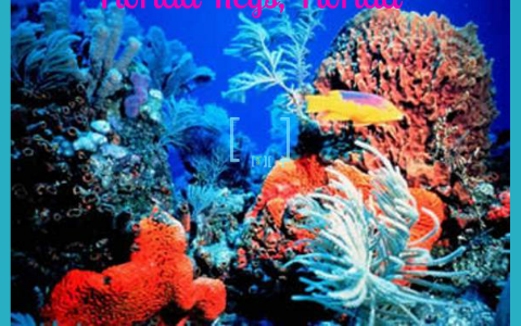 Coral Reefs Biome Project by sierra greiner on Prezi