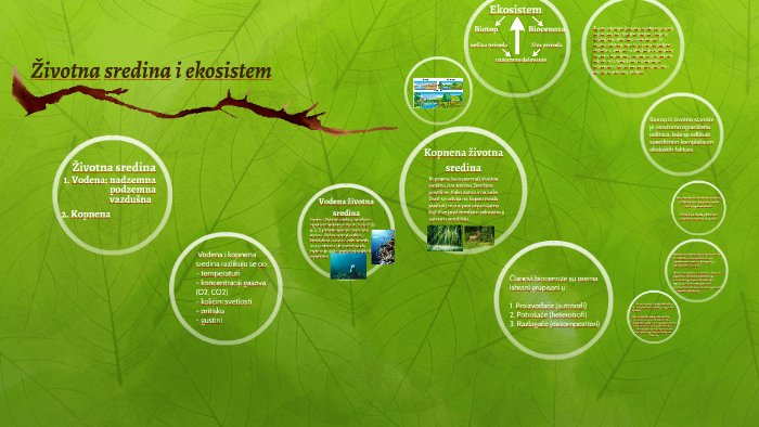 Životna sredina (pojam i komponente)i ekosistem by Alex Taz on Prezi