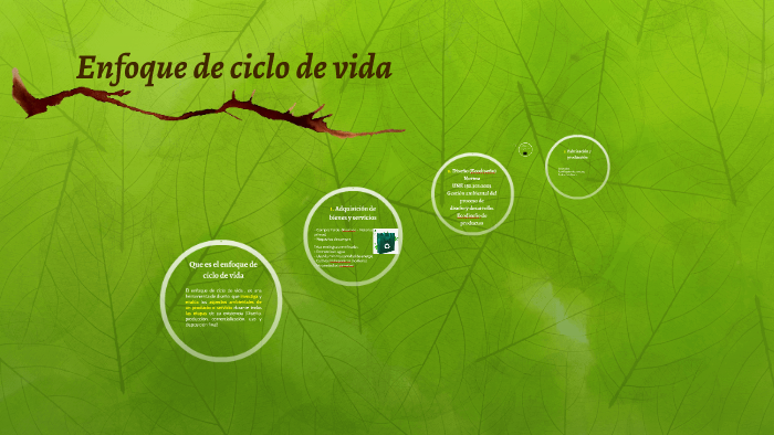 Enfoque de ciclo de vida by ANDRES GARCIA on Prezi