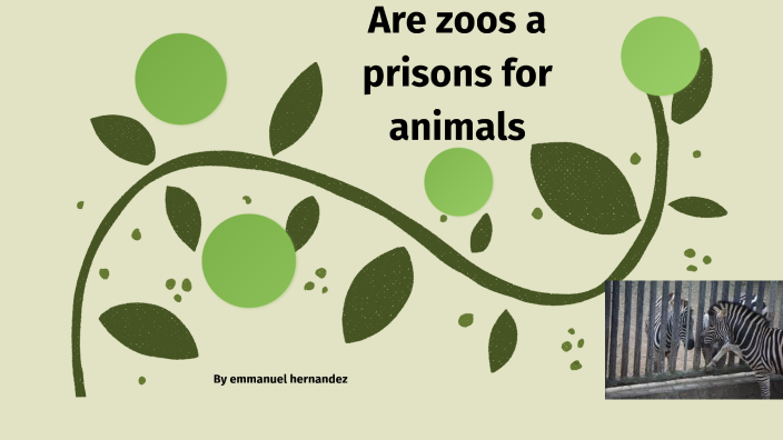 Are zoos a prisons for animals by Emmanuel Hernandez on Prezi