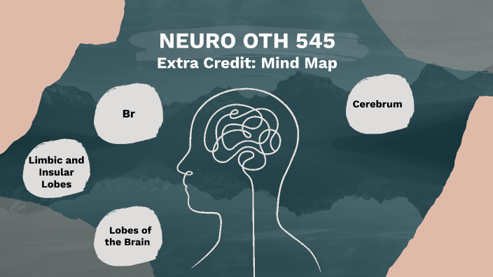 Neuro OTH 545 : Extra Credit Mind Map by Emely Fuentes on Prezi