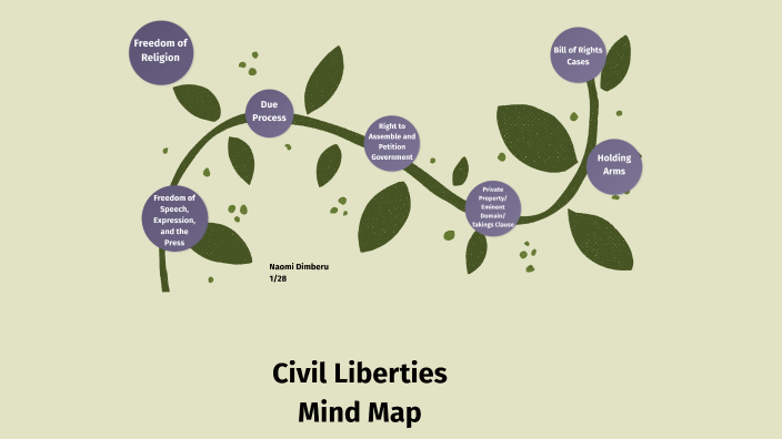 Civil Liberties Mind Map by NAOMI DIMBERU on Prezi