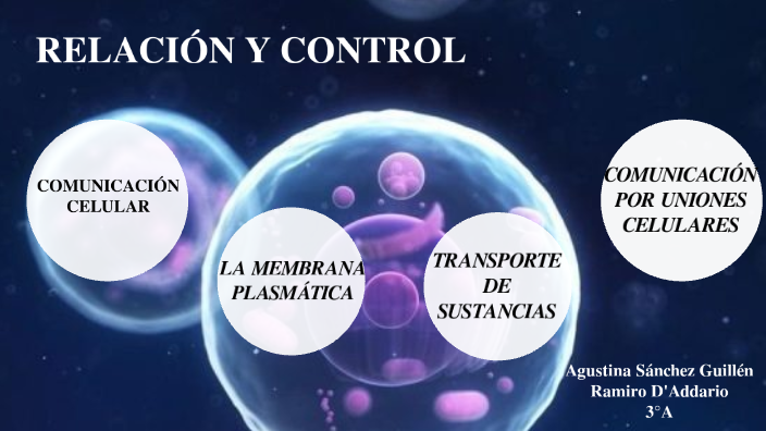 Relación y control by Agustina Sánchez Guillén on Prezi
