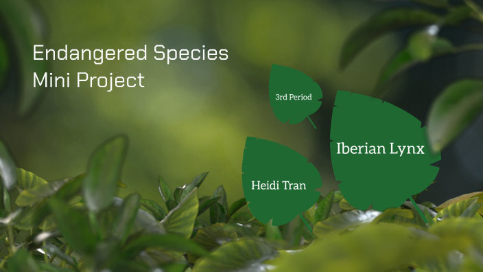 Endangered Species Mini Project by Heidi Tran on Prezi