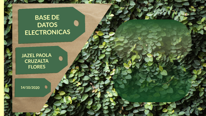 BASE DE DATOS ELECTRONICAS by JAZEL PAOLA CRUZALTA FLORES on Prezi