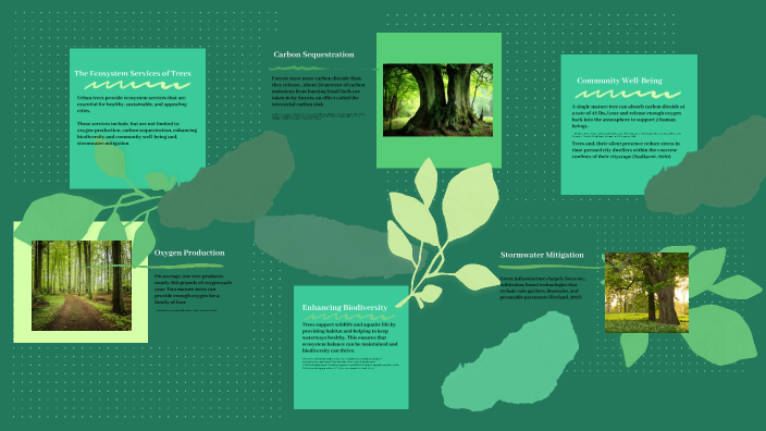 The Ecosystem Services of Trees by Alisonya Poole on Prezi