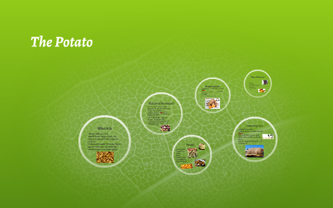 Potato Presentation by Victoria Hopper on Prezi