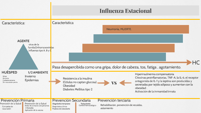 Síndrome Metabólico/Sd. x/Sd. de resistencia a insulina by Cesia ...