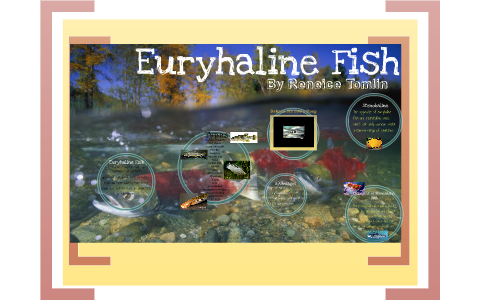 Euryhaline Fish by Reneice Tomlin on Prezi