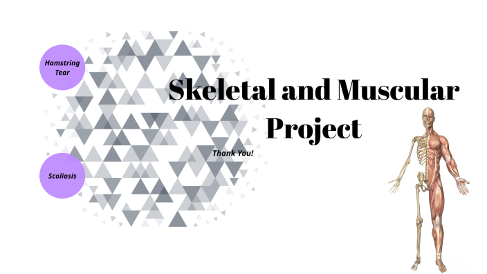 The Skeletal and Muscular System Project by Brynna Enterline on Prezi