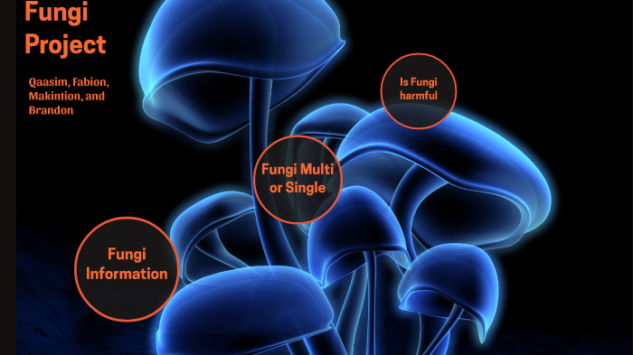 Fungi Project by Qaasim Ali on Prezi