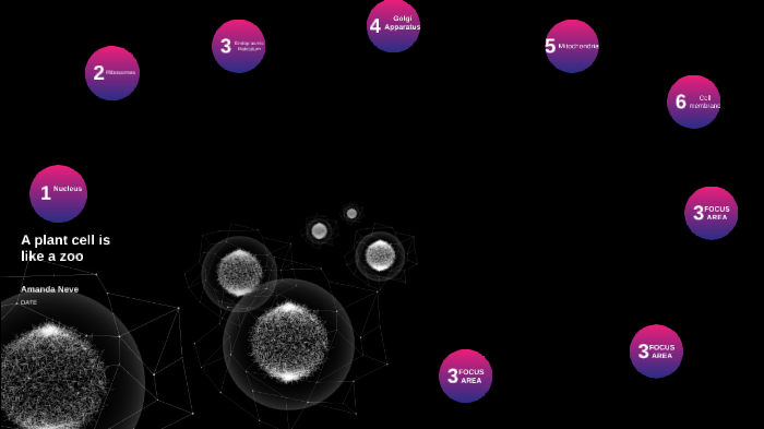 A plant cell is like a circus by Amanda Neve on Prezi