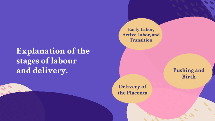 Explanation of the stages of labour and delivery. by Tanishka Dhembare ...