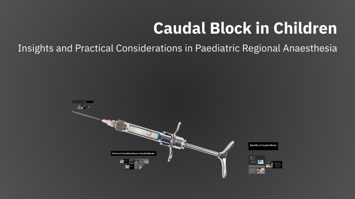 Caudal Block in Children by Ali Almhidb on Prezi