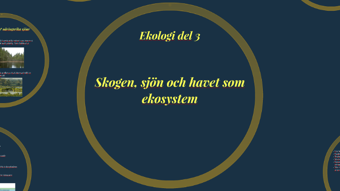 Skogen, sjön och havet som ekosystem by Christo Svan on Prezi