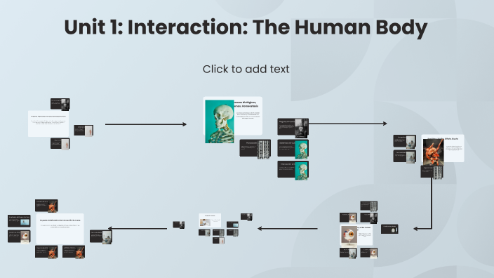 Unit 1: Interaction: The Human Body by Martina on Prezi